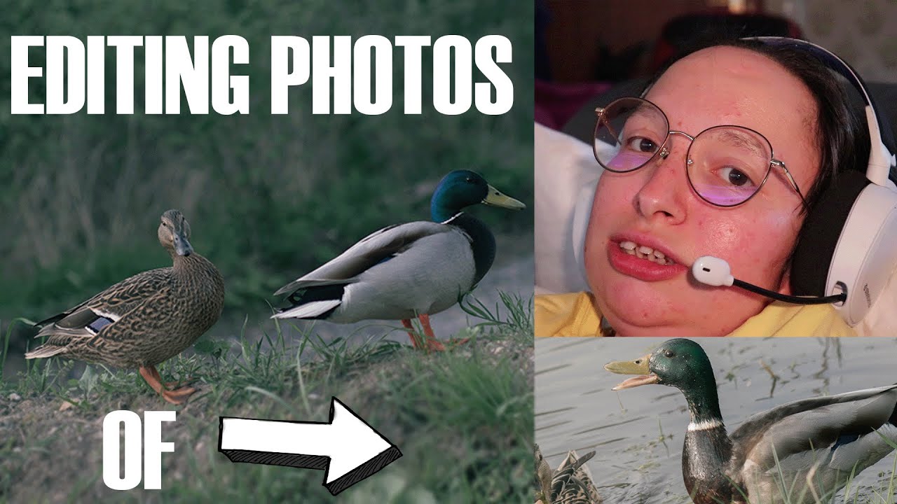 Editing photos of ducks - YouTube