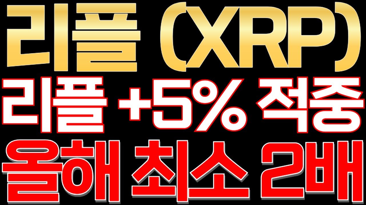 리플xrp 또 적중 올해 최소 2배 갑니다 이번 불장 알트코인 Top 3 🔥 리플코인 비트코인 도지코인 스텔라루멘 트럼프 일론머스크 Sec 리플전망 🔥 Youtube