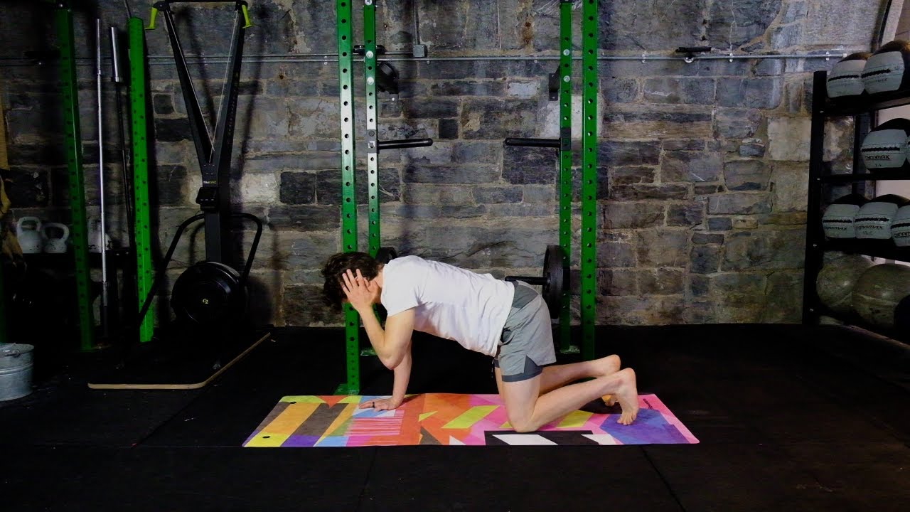 Quadruped Scap Mobility Drill - YouTube