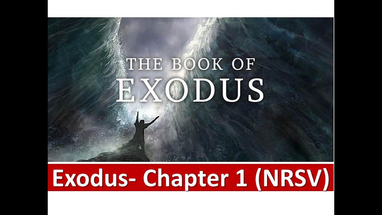Exodus- Chapter 1 (NRSV) - YouTube