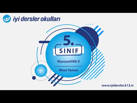 5.Sınıf   Biyoçeşitlilik II |  Musa Yaman