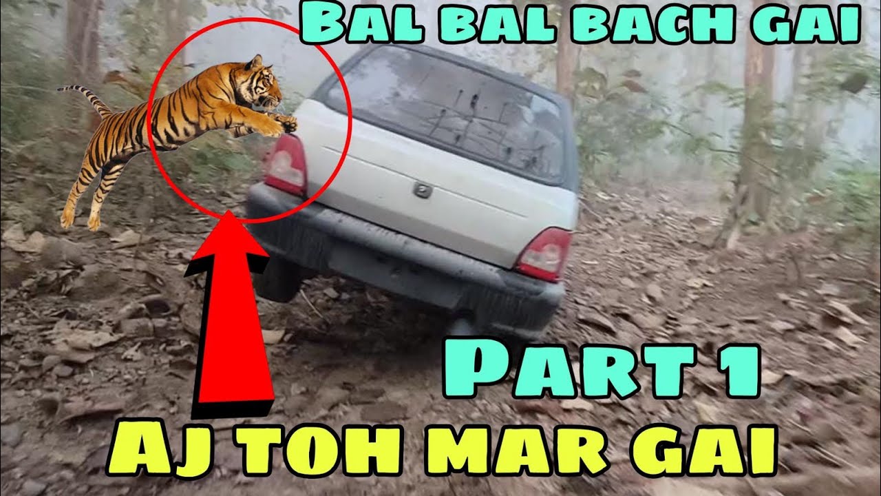jungle m gaadi paltey paltey bchi😰#offraod#jungle#trending#maruti#thar# ...