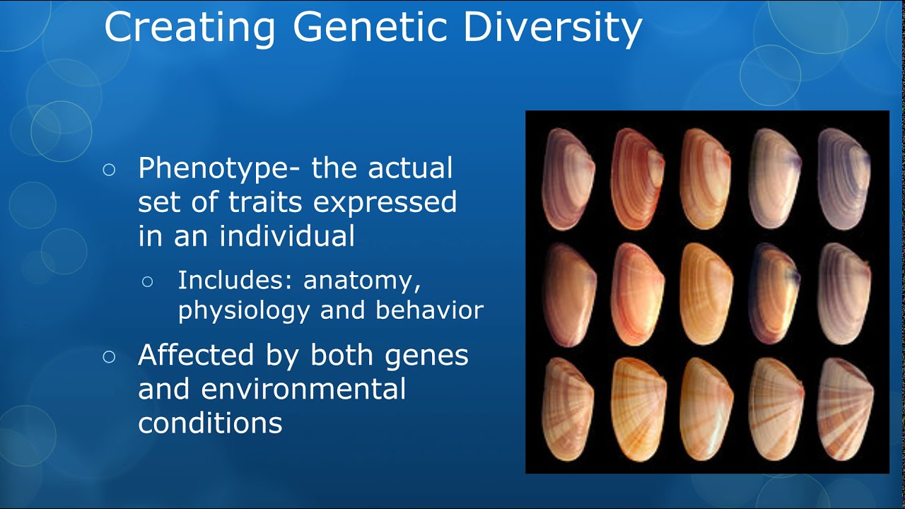 APES Ch 5 all - YouTube