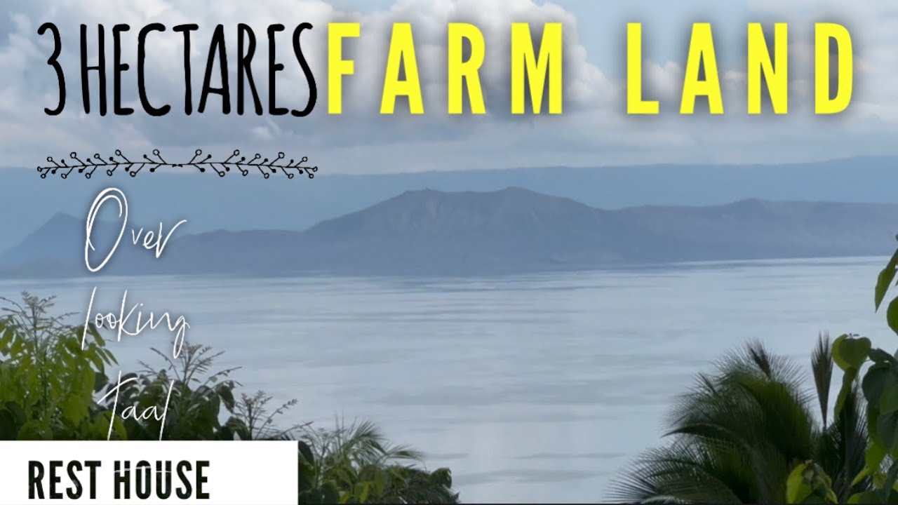 FOR SALE ️ 3 Hectares Farm Land With Resthouse Over Looking Taal ...