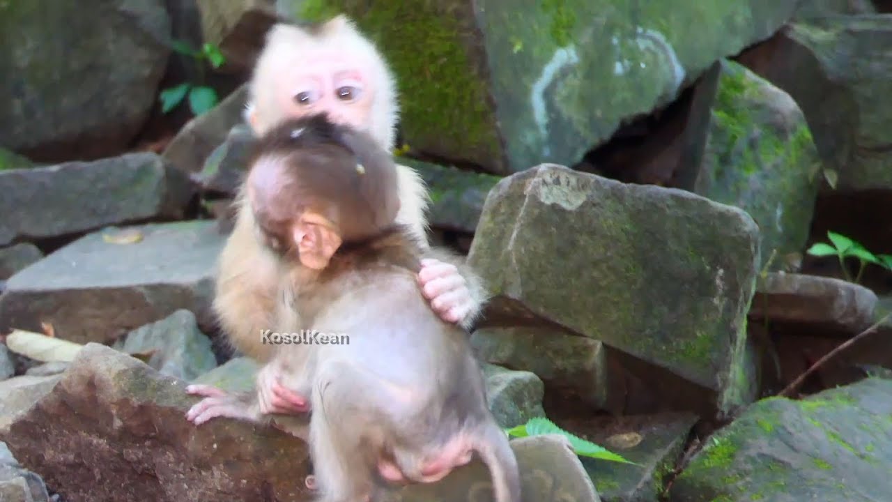 Super cute Angela hugs Rainbow after Dinner Ashley and Libby are ...