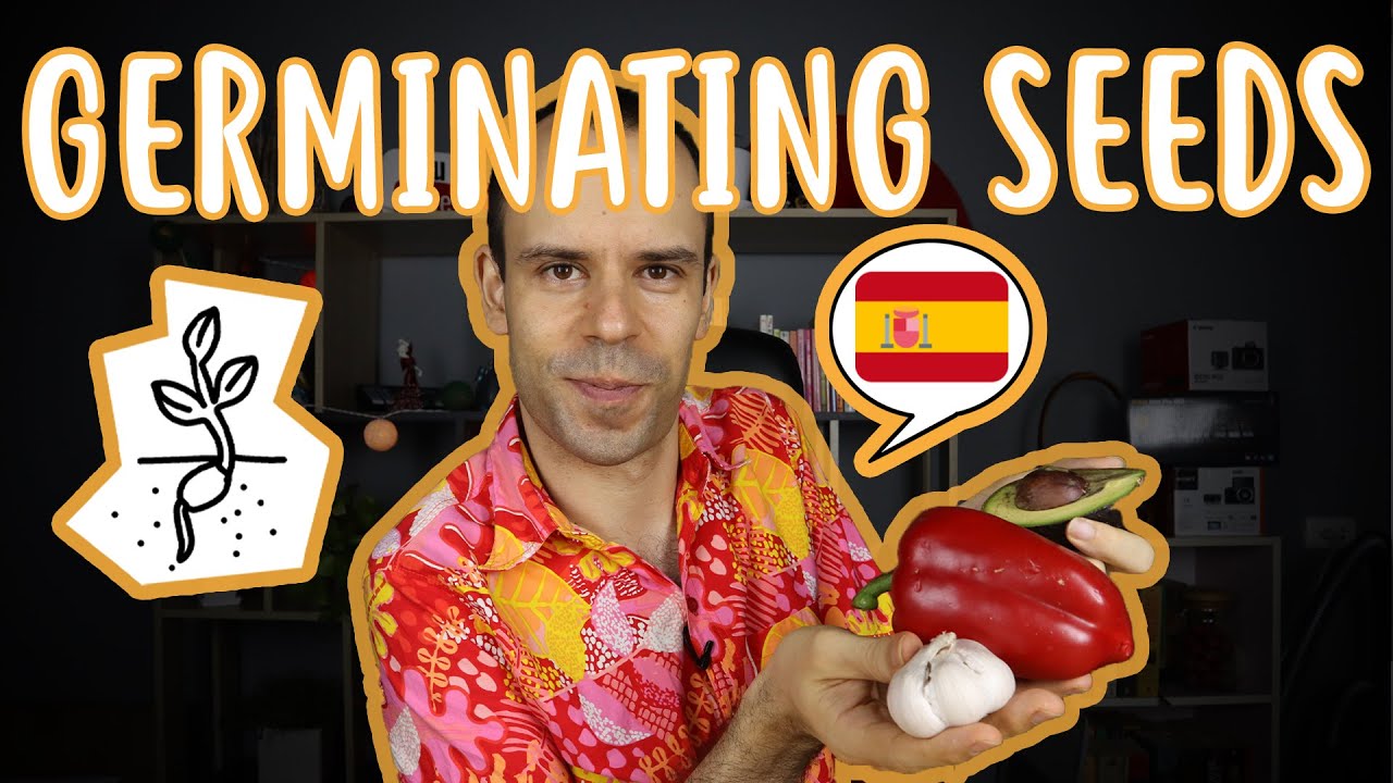 Spanish Comprehensible Input | Let's germinate some seeds - Beginner ...
