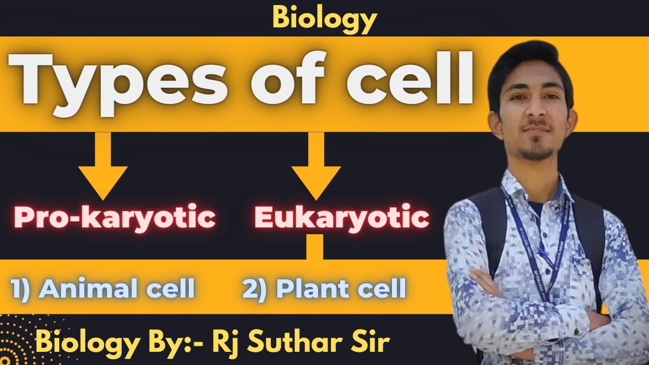 Cell | Types of Cell, Pro- karyotic & Eukaryotic Cell Plant cell ...