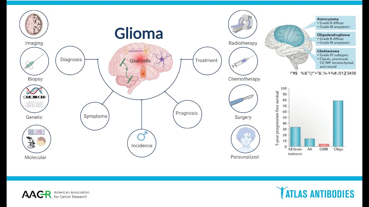Glioma Biology and Molecular Markers - YouTube