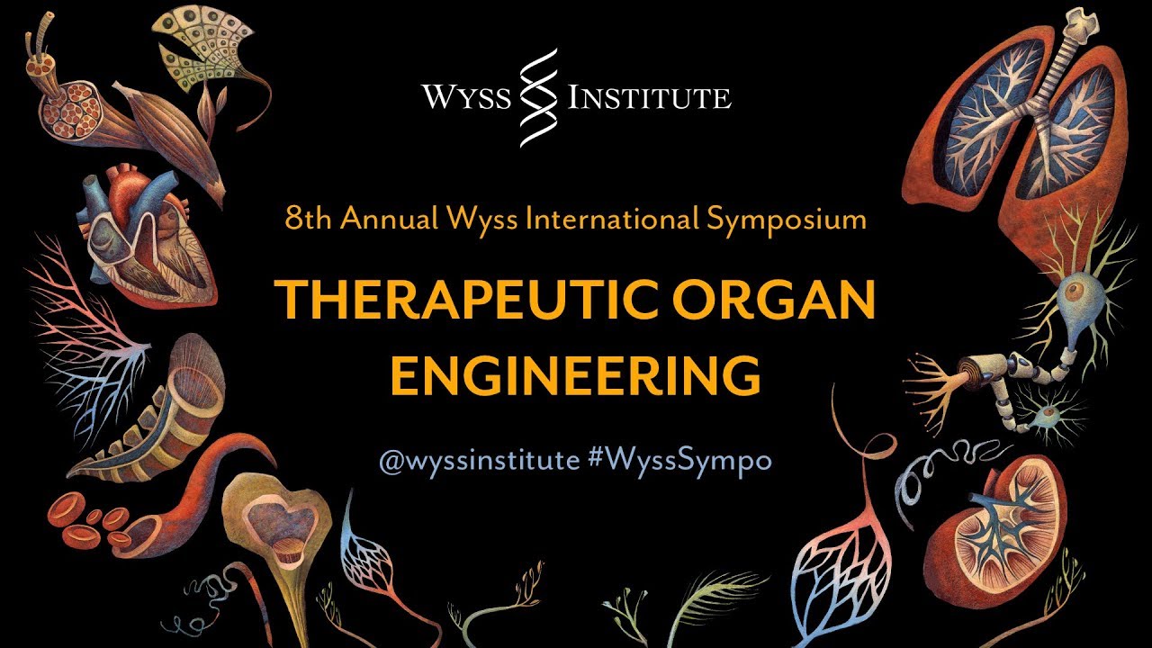 Therapeutic Organ Engineering - YouTube