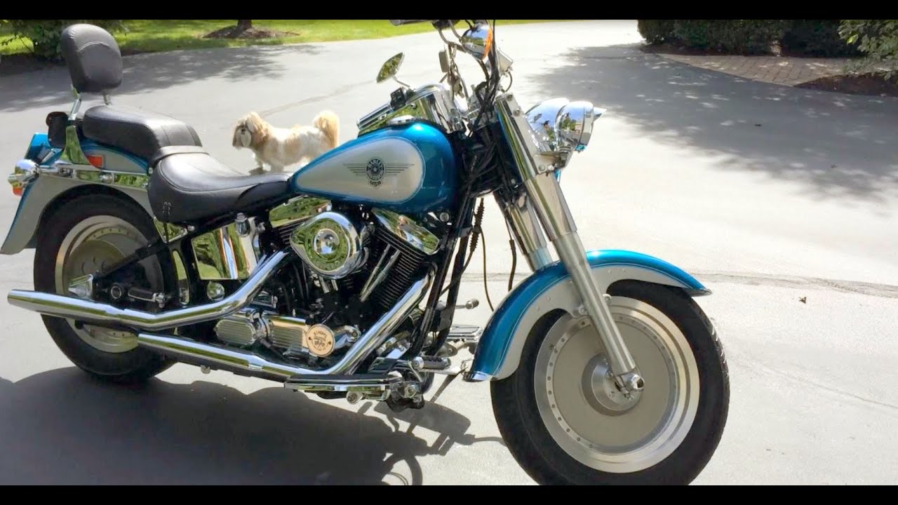 Shih Tzu dog Lacey and 1994 Harley Davidson Fatboy Motorcycle - YouTube