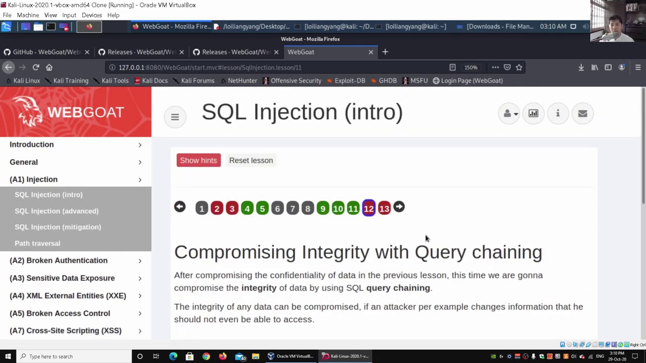 WebGoat SQL Injection B (Cybersecurity, Web Application Penetration ...