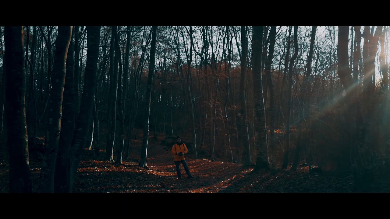 CINEMATIC NATURE VIDEO - YouTube