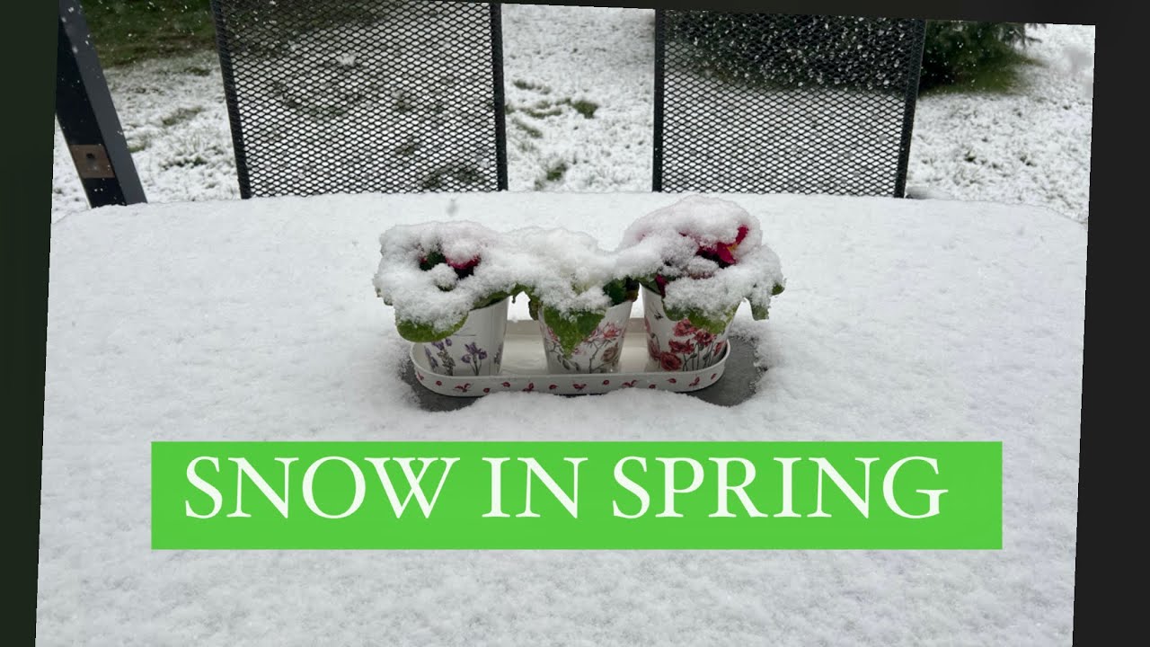 April Fools🙈|Life in Germany - YouTube