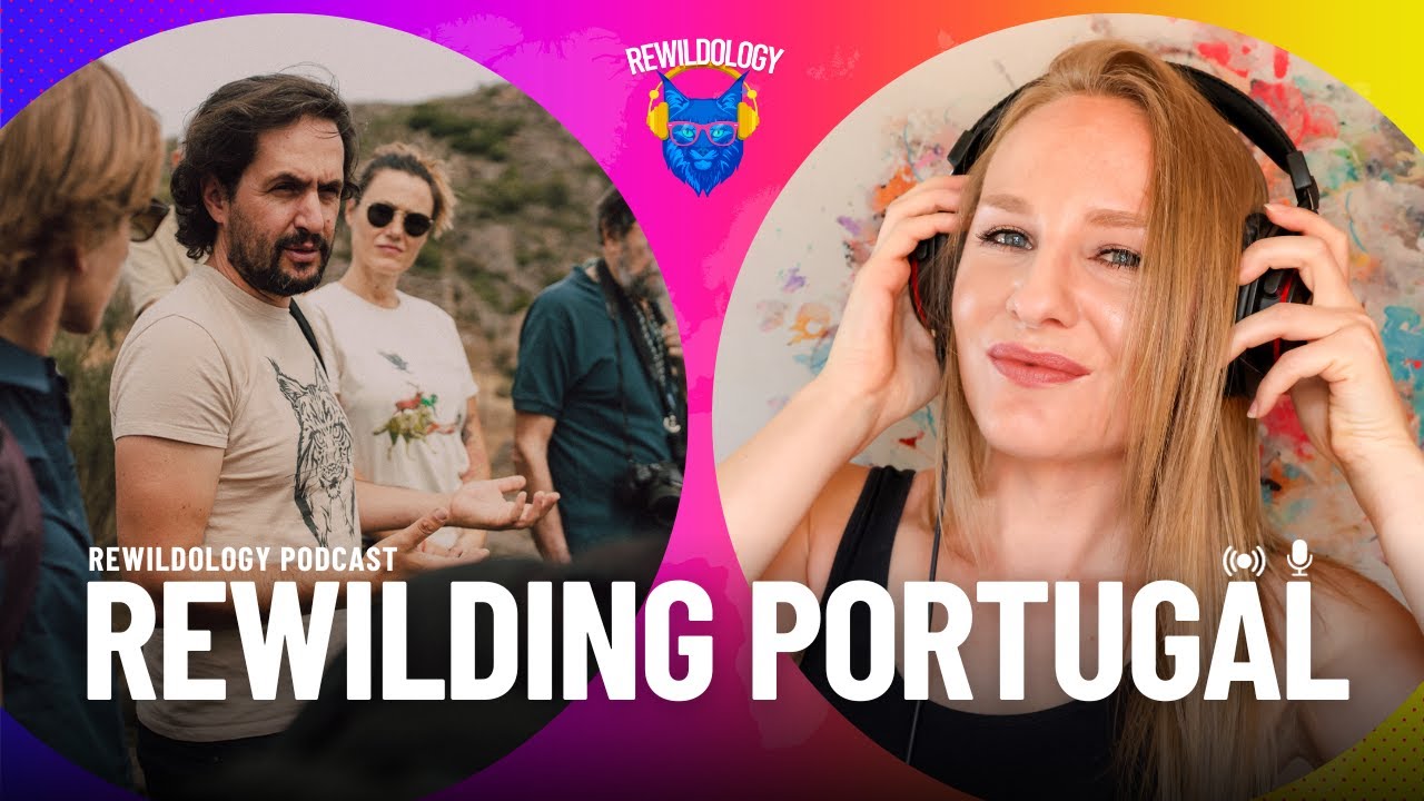 FULL EPISODE Reviving the Wild: Exploring Portugal's Rewilding ...