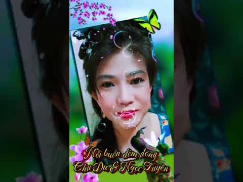 Nỗi Buồn Đêm Đông.St Anh Minh - YouTube