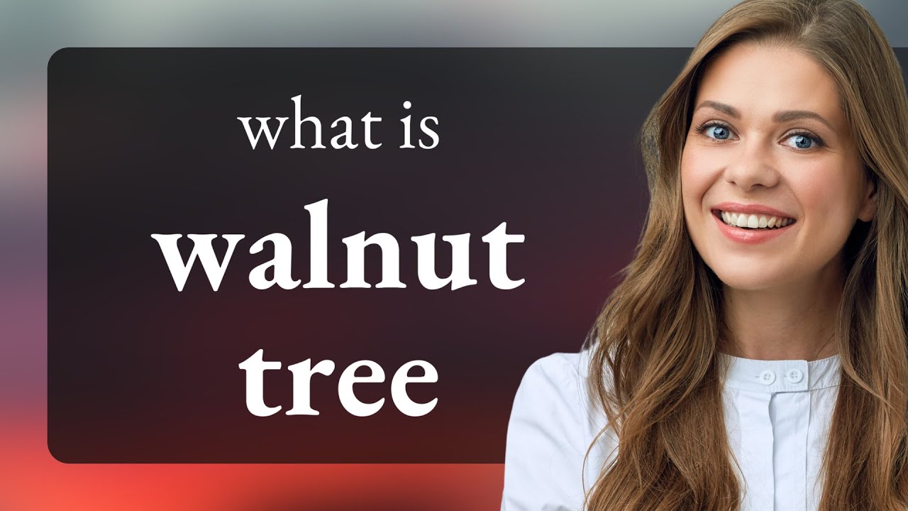 Walnut tree — meaning of WALNUT TREE - YouTube