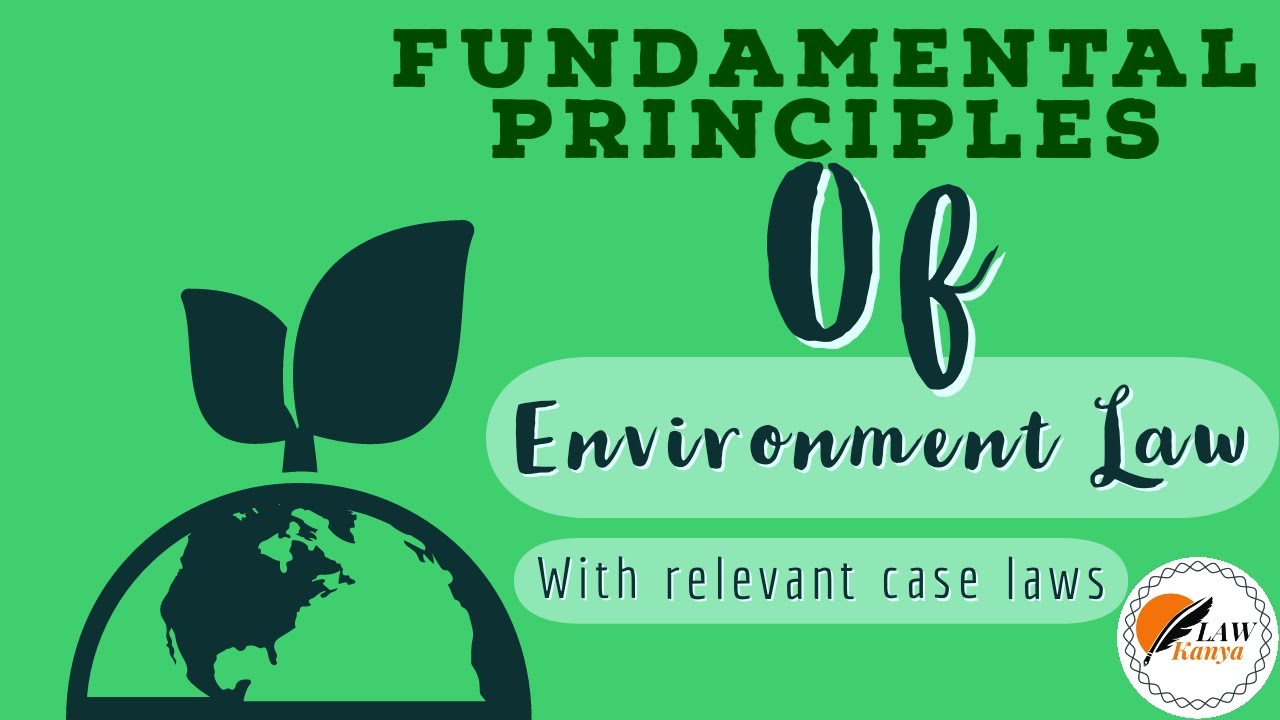 PRINCIPLES OF ENVIRONMENT LAW (with case laws) - YouTube