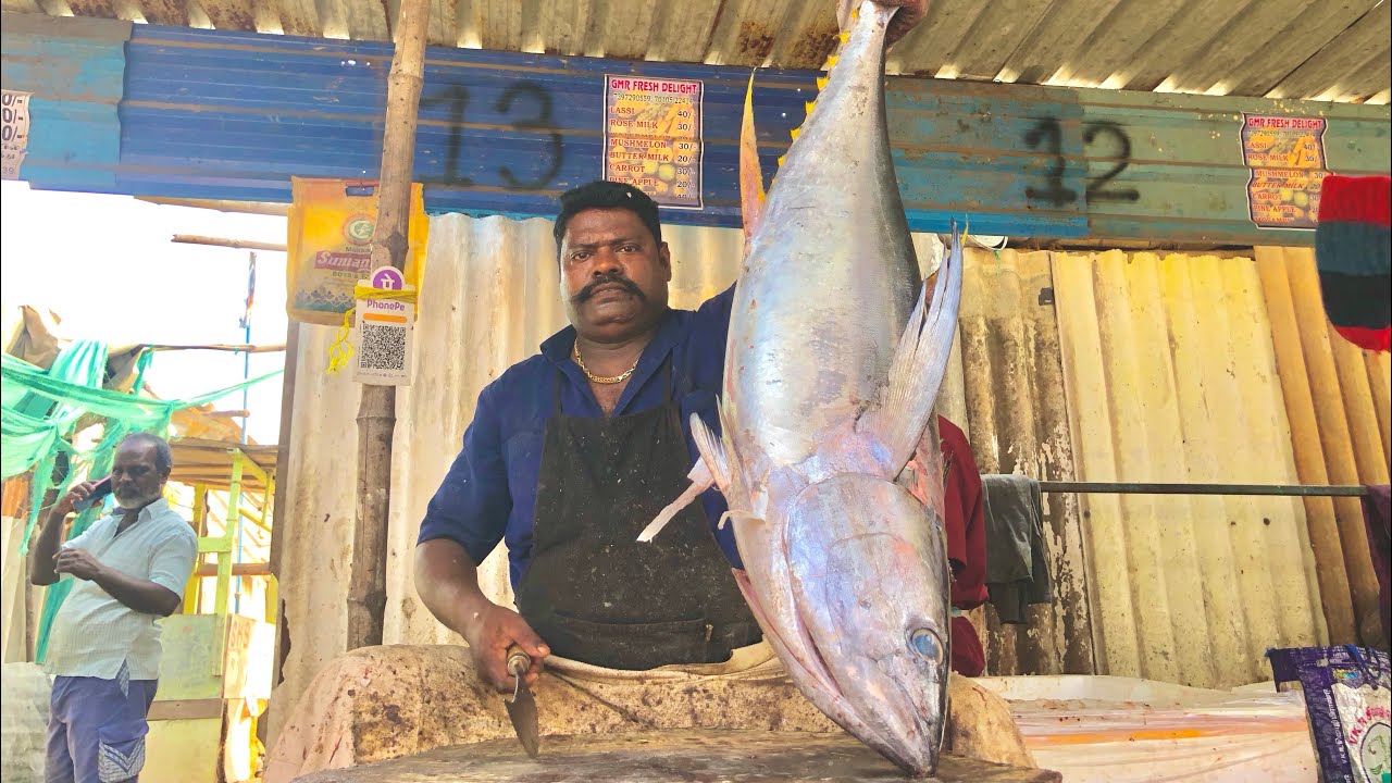 💥KASIMEDU SPEED SELVAM TUNA FISH CUTTING VIDEO / kING FISH CUTTING/🔪# ...