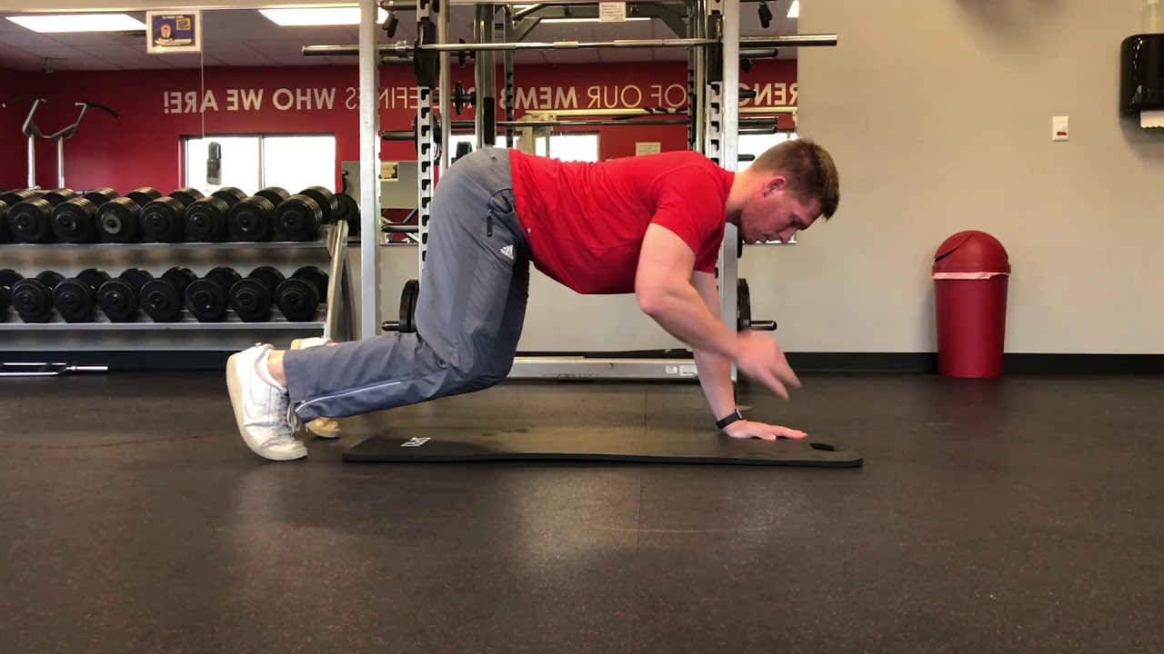 Bear Crawl Shoulder Taps | CORE EXERCISE - YouTube