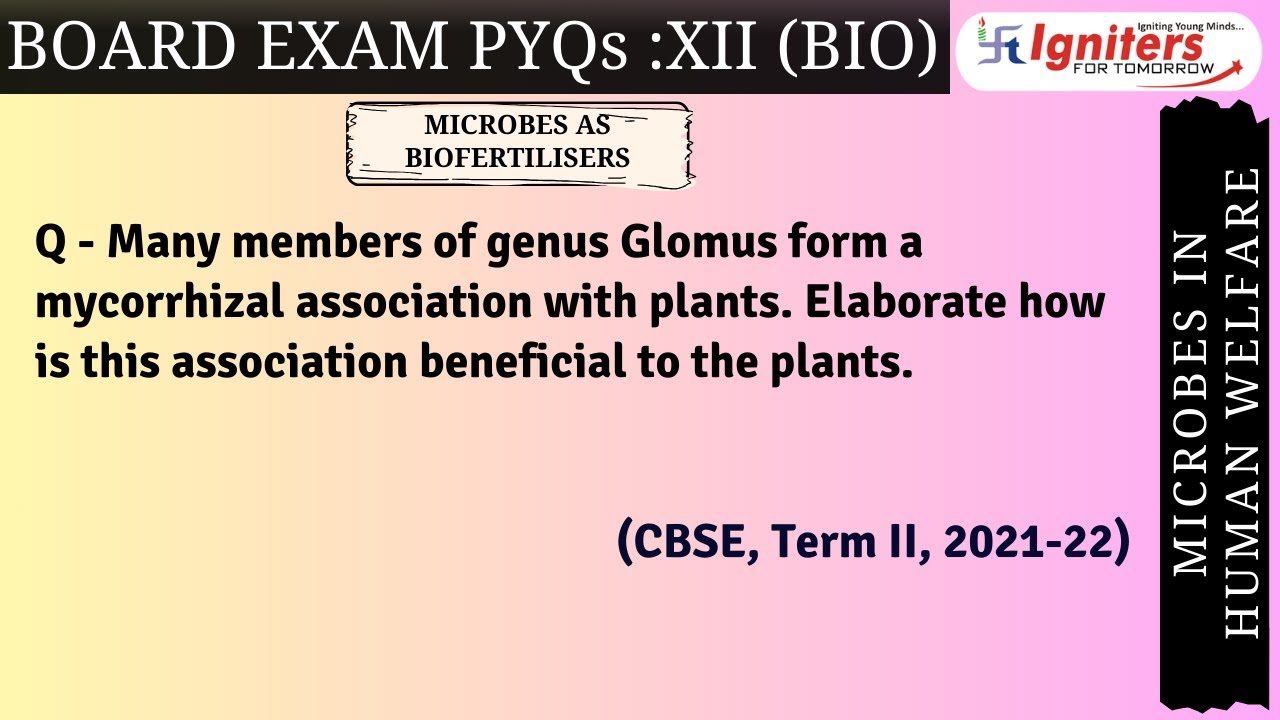 Many members of genus Glomus form a mycorrhizal association with plants ...