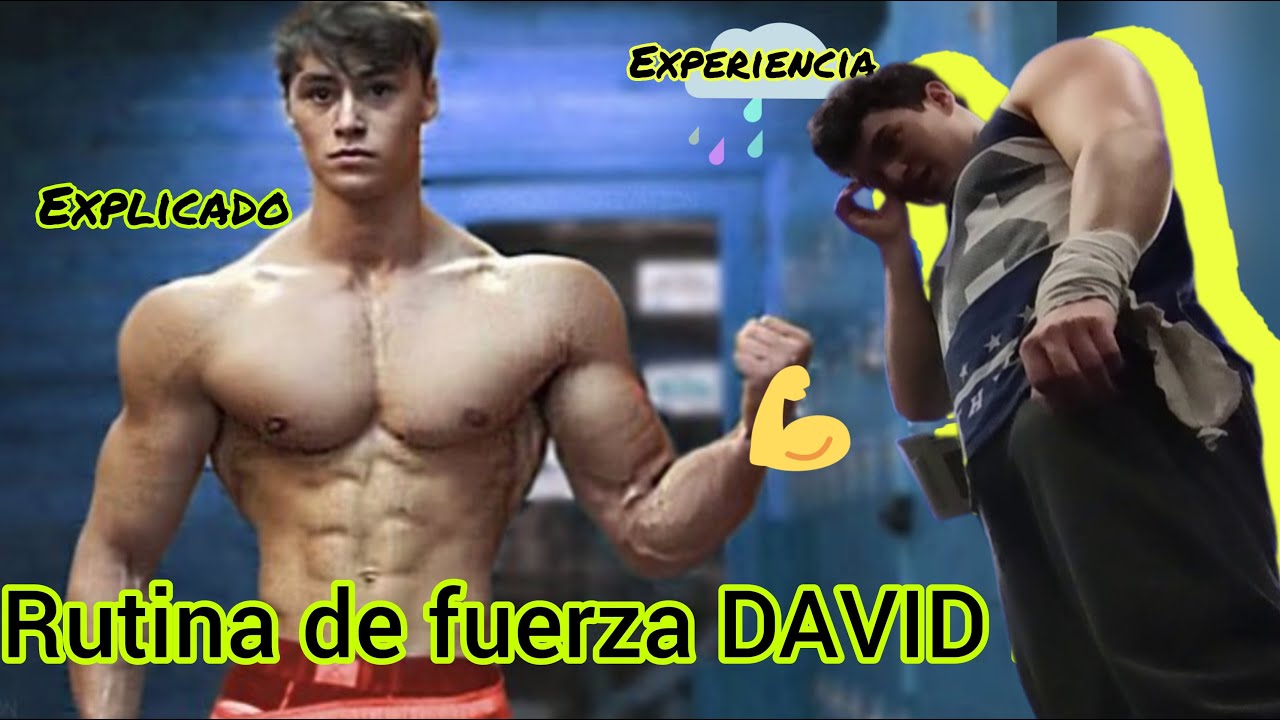 Rutina de fuerza dup program david laid explicacion - YouTube
