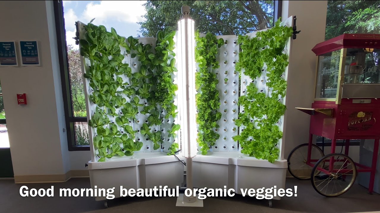 Flex Farm Progress Update - YouTube