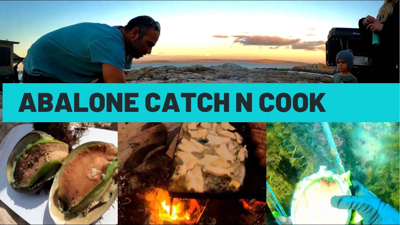 HOW TO COOK ABALONE (ON THE OPEN FIRE) - YouTube