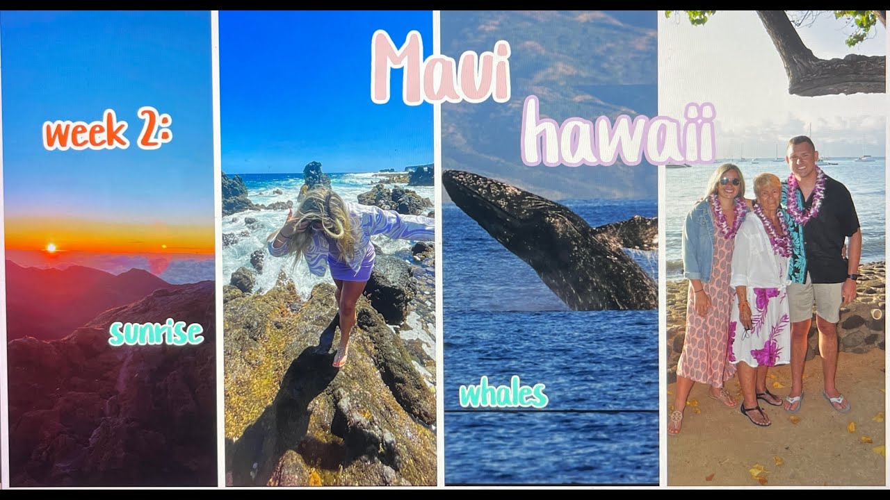 week 2 | HAWAII vlog ~ maui island, whales, snorkeling, sunrise in the ...