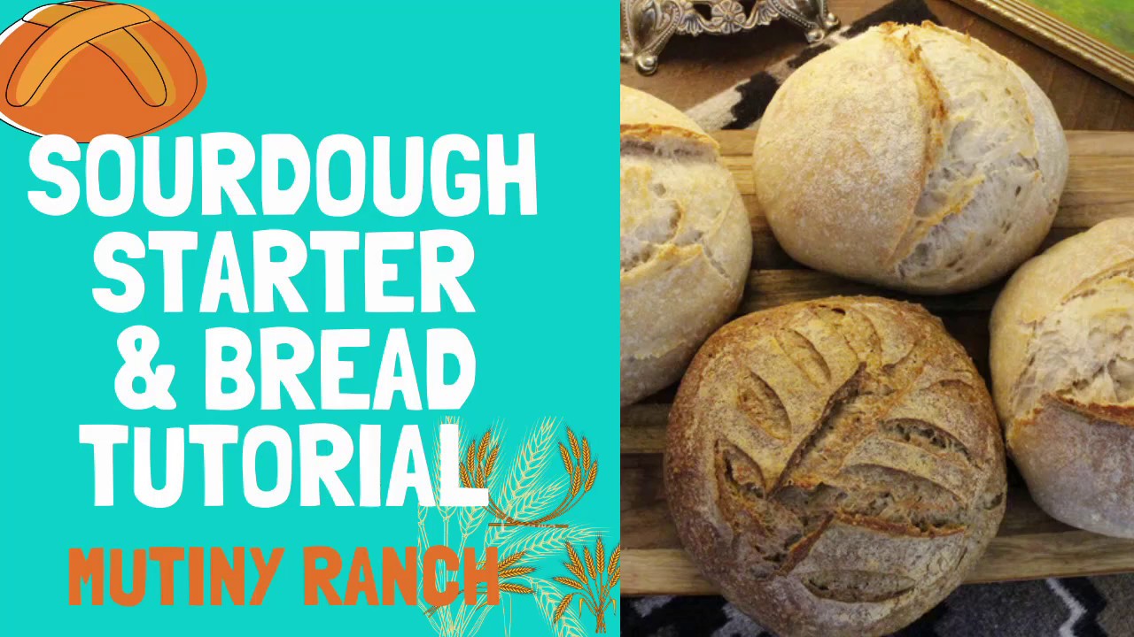 Sourdough Starter & Bread Tutorial {Day One} - YouTube