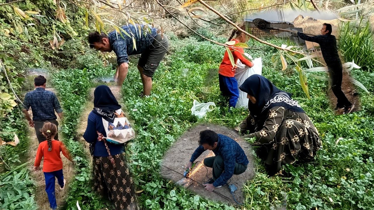 Harvesting the Bounty of Nomads: A Glimpse into the Nomadic Life of a ...