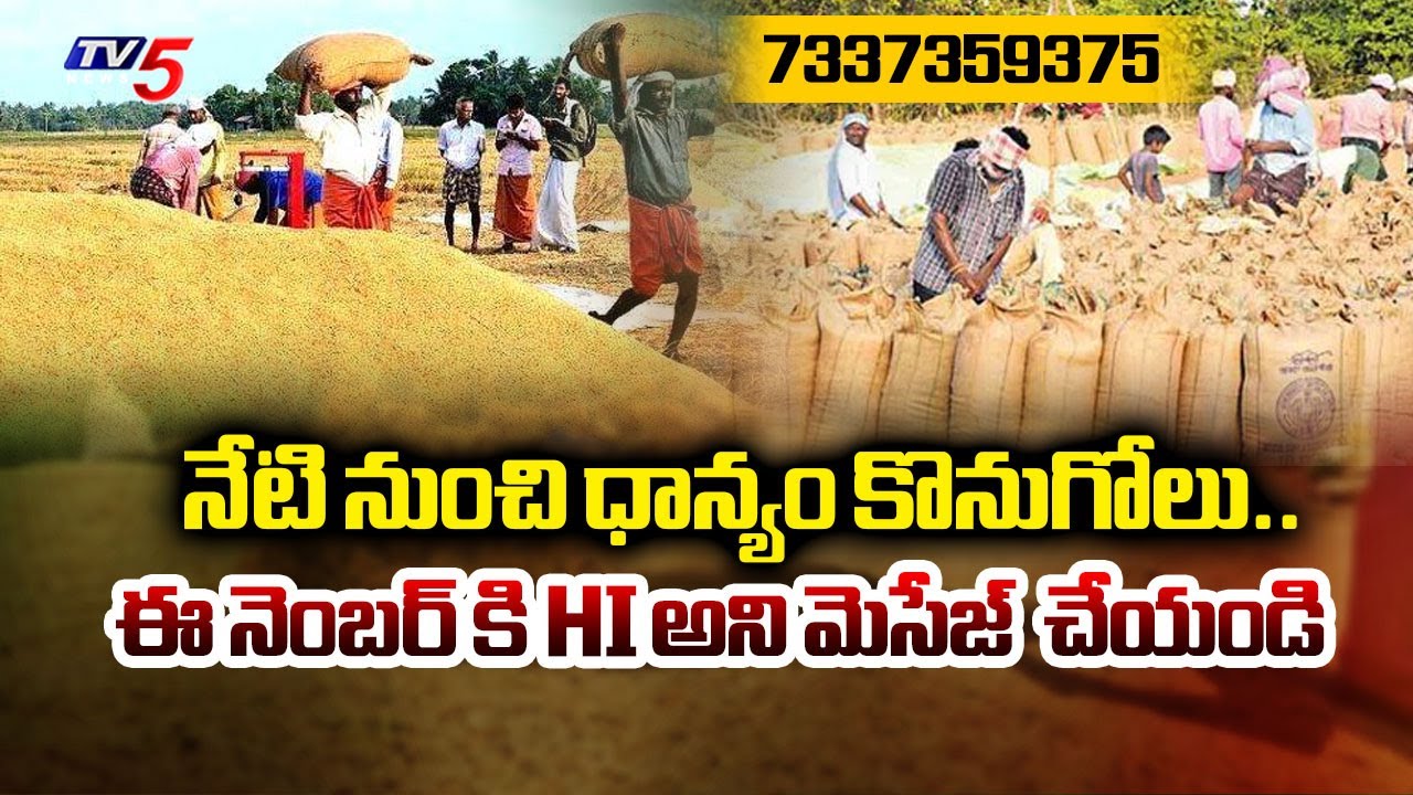 నేటి నుంచి ధాన్యం కొనుగోలు | Paddy Procurement Begins In AP | Latest ...