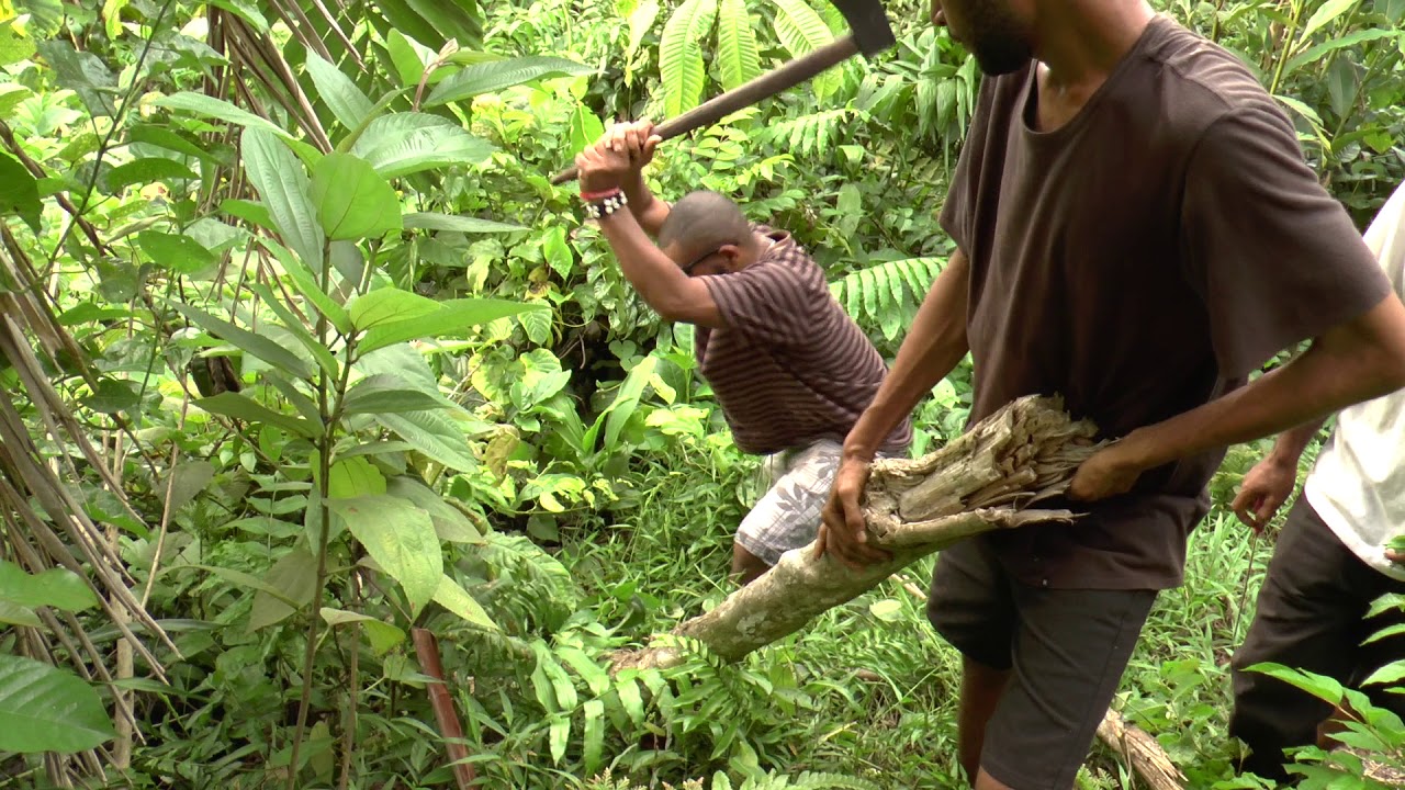 2019 Ropen Expedition on Umboi Island,PNG(b) - YouTube