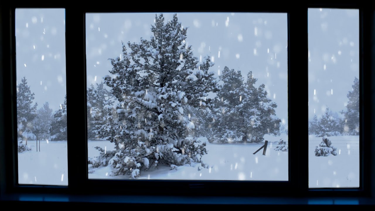 Winter Ambience | winter window snow scene, Blizzard & Howling Winds ...