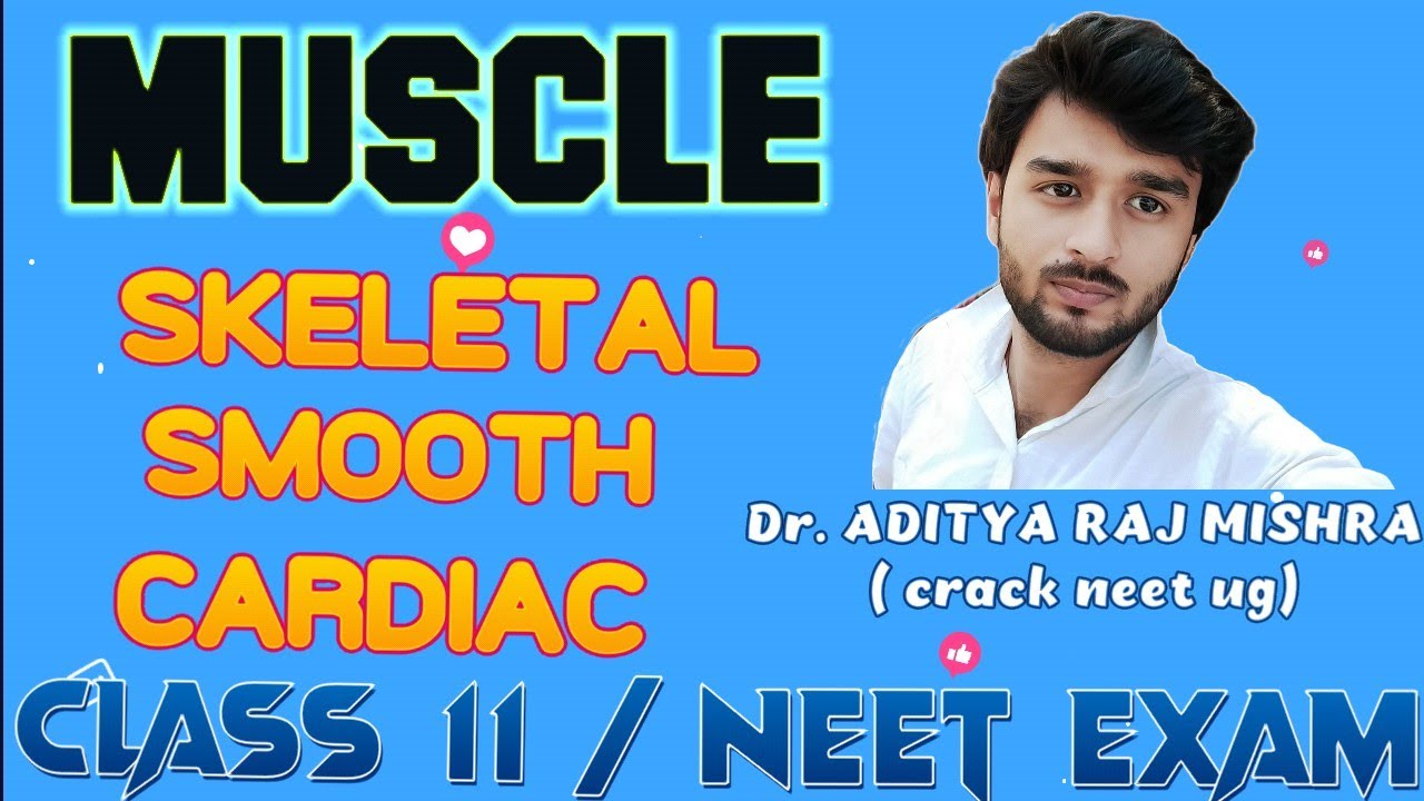MUSCULAR TISSUE ,CLASS 11, TISSUE, BIOLOGY💥💥 CLASS 11th FULL NCERT 📖📖 # ...
