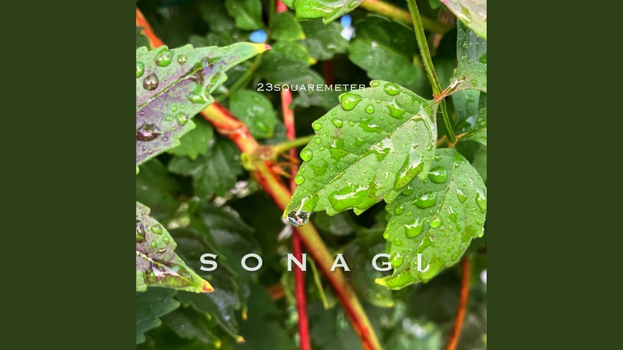SONAGI - YouTube