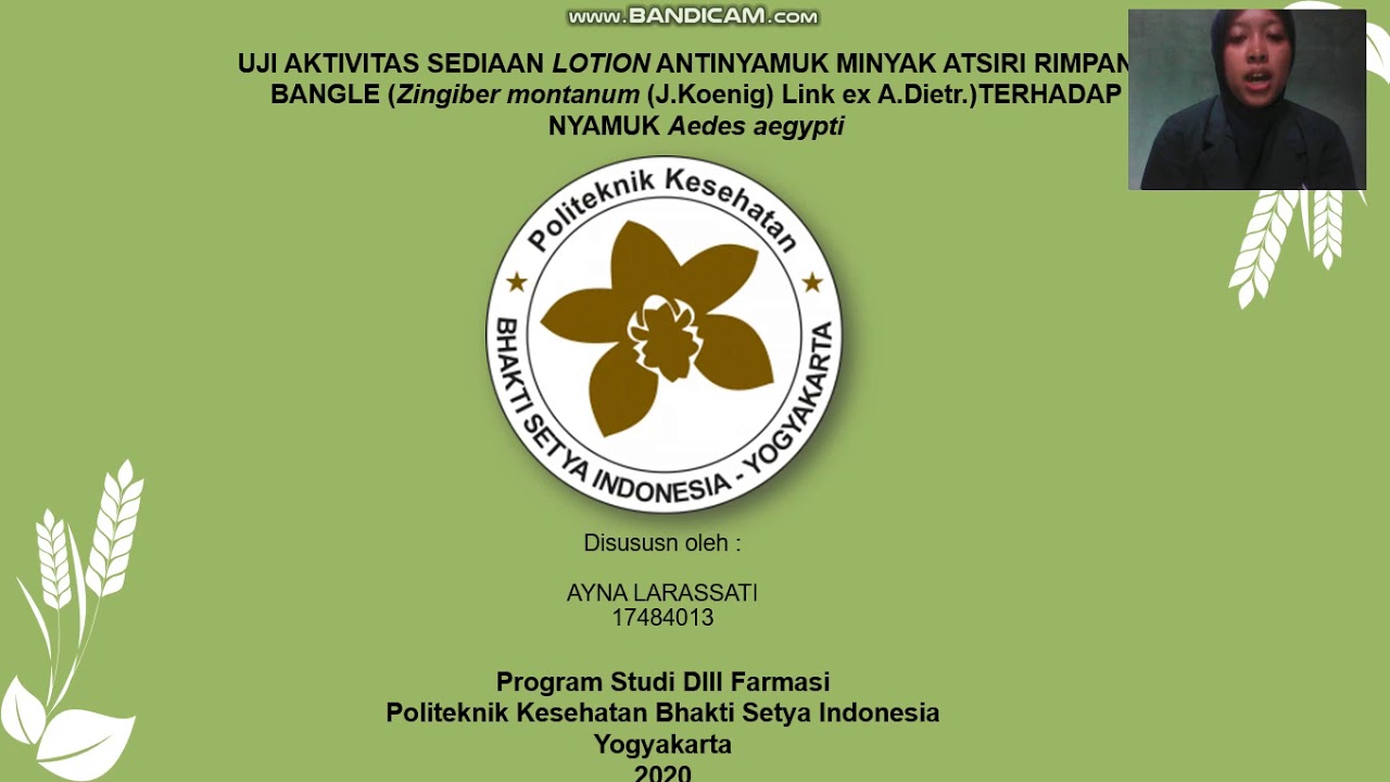 Uji Aktivitas Sediaan Lotion Antinyamuk Minyak Atsiri Rimpang Bangle ...