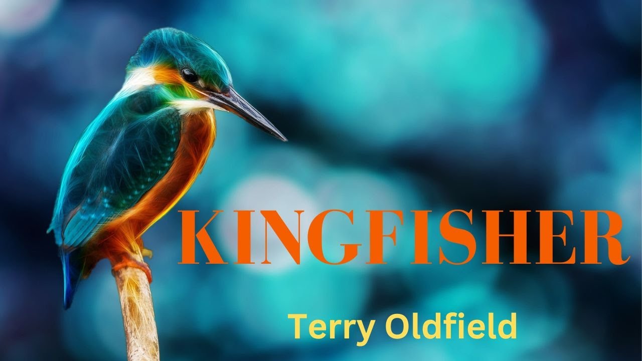 KINGFISHER ... Terry Oldfield - YouTube Music
