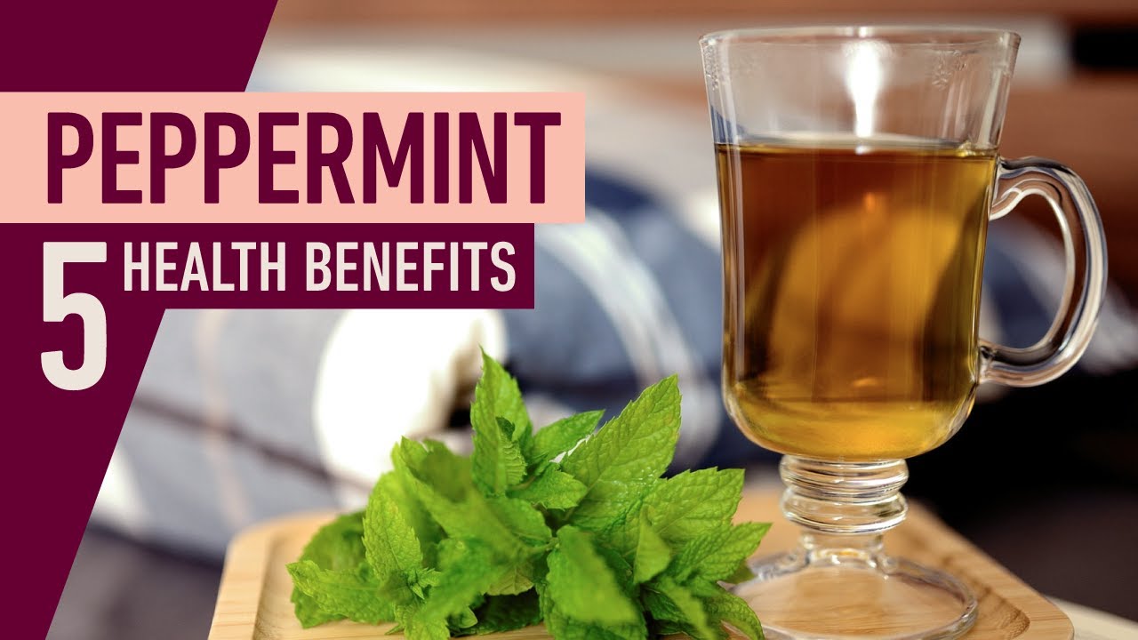 5 Health benefits of PEPPERMINT | the oldest medicine in the world ...