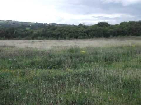 Brynlliw Colliery Site.AVI - YouTube