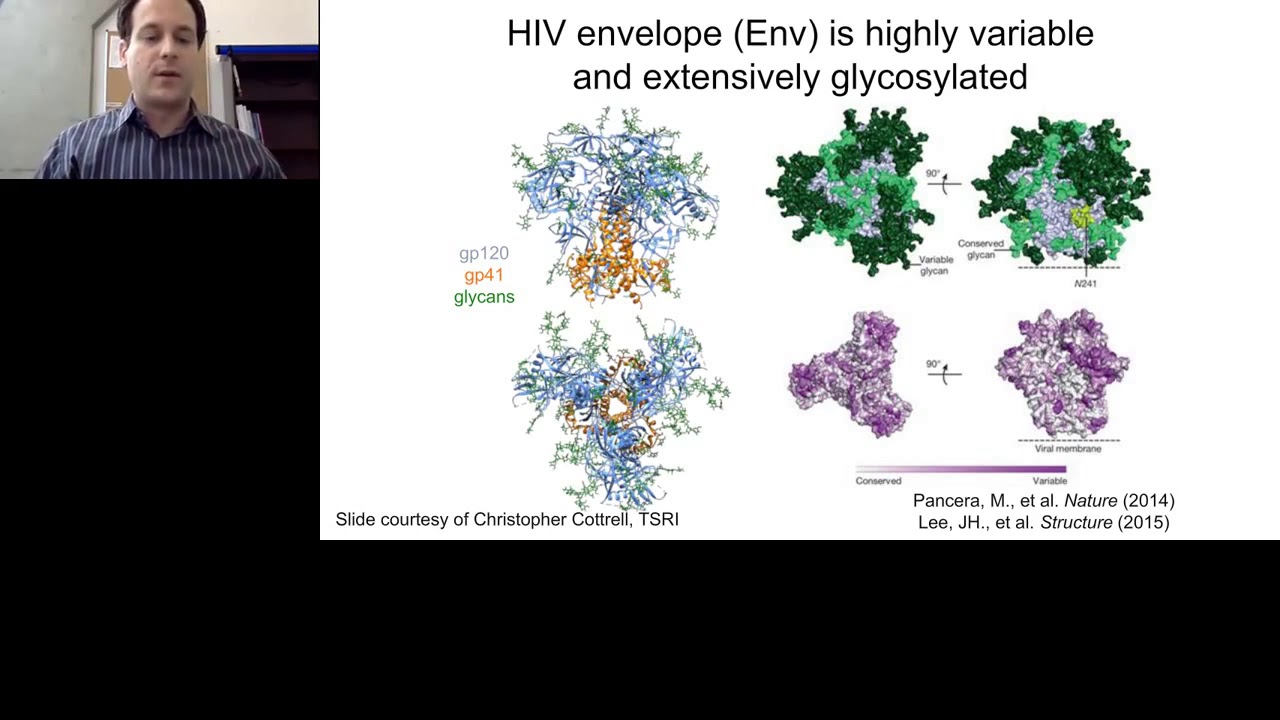 Hiv Envelope Structure