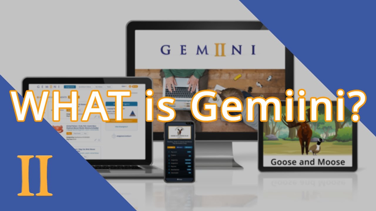 WHAT is Gemiini? | Gemiini Systems - YouTube