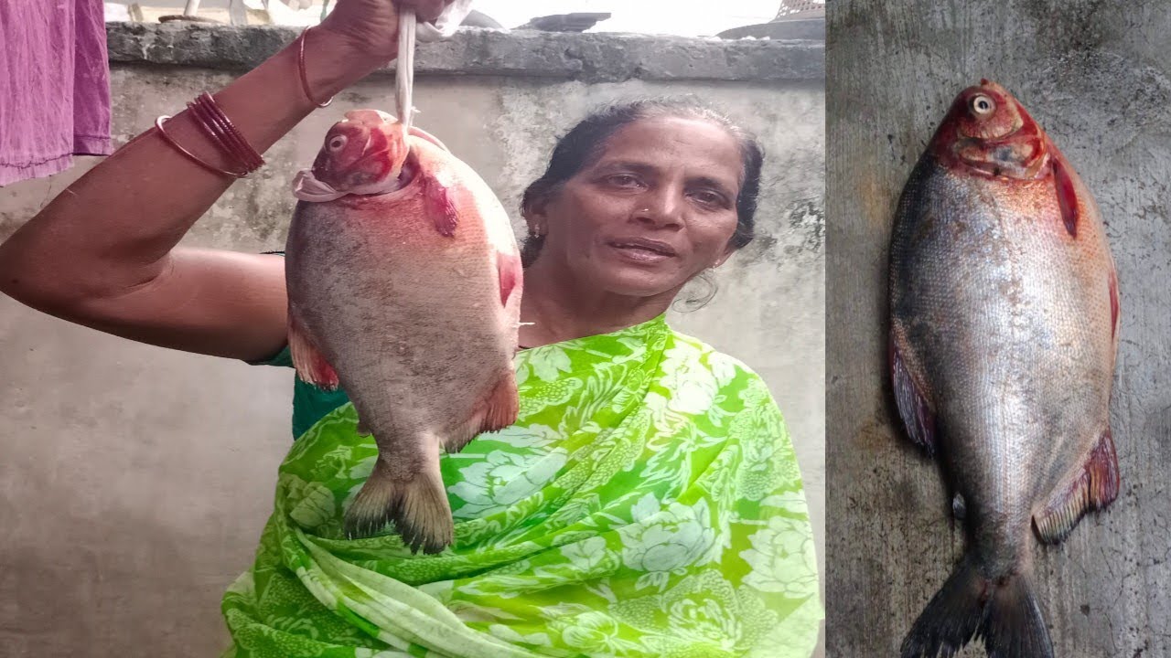 rup chand fish 🐠 cuting chase clin chasaru ayana nanu రూప్ చంద్ ఫిష్ 🐠 ...