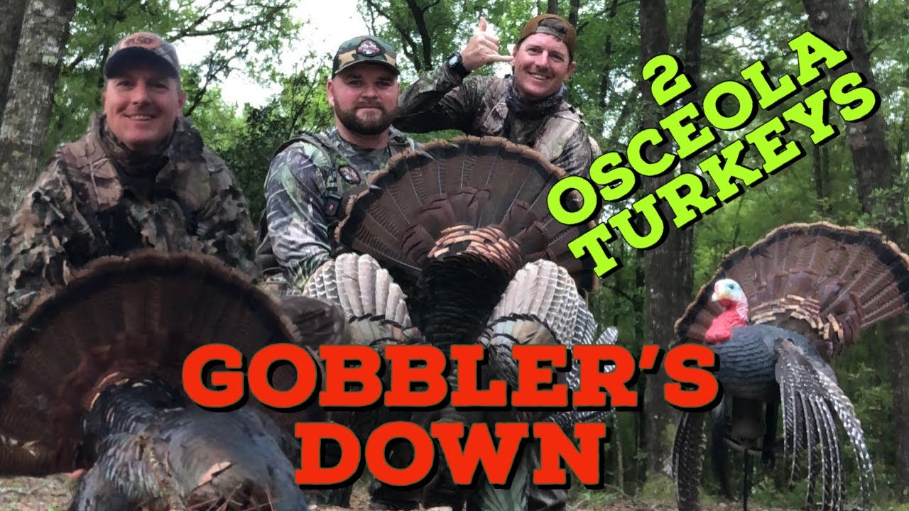 Spring-Fling 2022: Hunting Florida’s Osceola turkey’s-Gobblers down ...