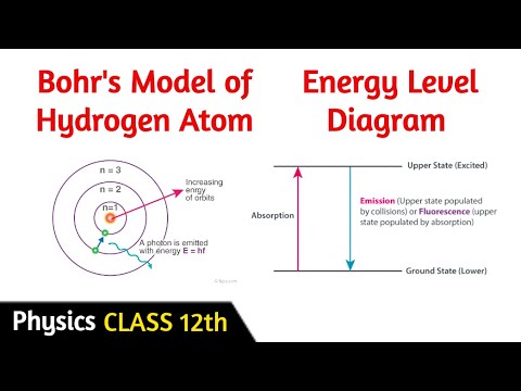 Bohr's Model of Hydrogen Atom & Energy Level Diagram - CLASS 12th ...