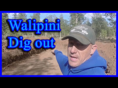 How To Build A Walipini Greenhouse