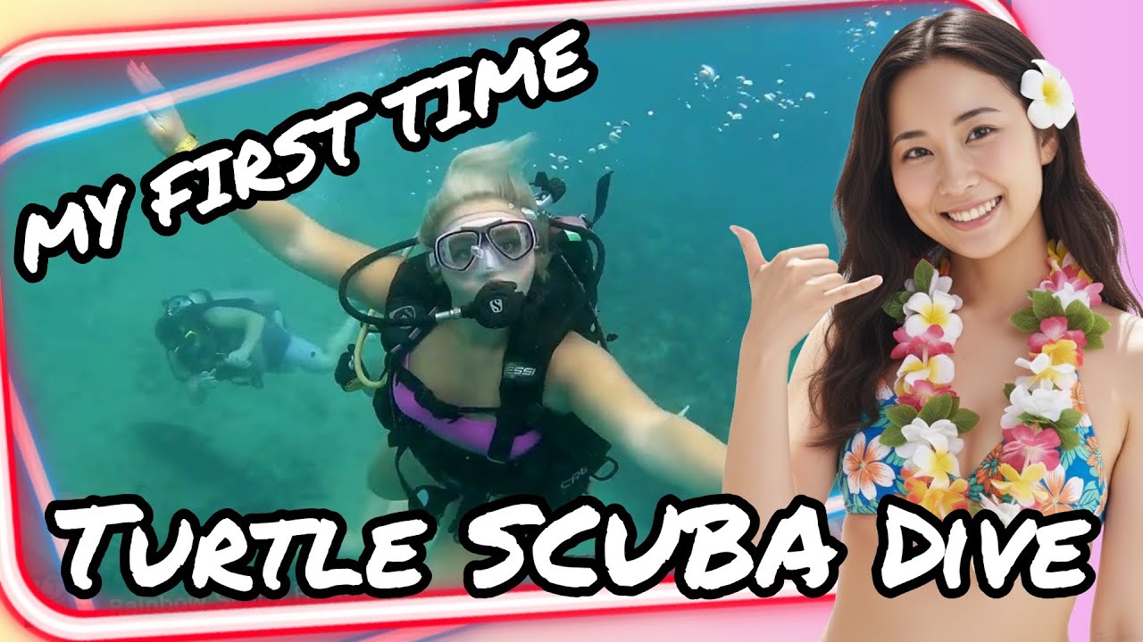 Honolulu’s Underwater Welcome Party 🐢 Turtles EVERYWHERE! - YouTube