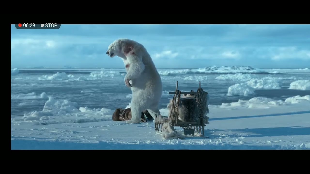against the ice. polar bear scene. - YouTube