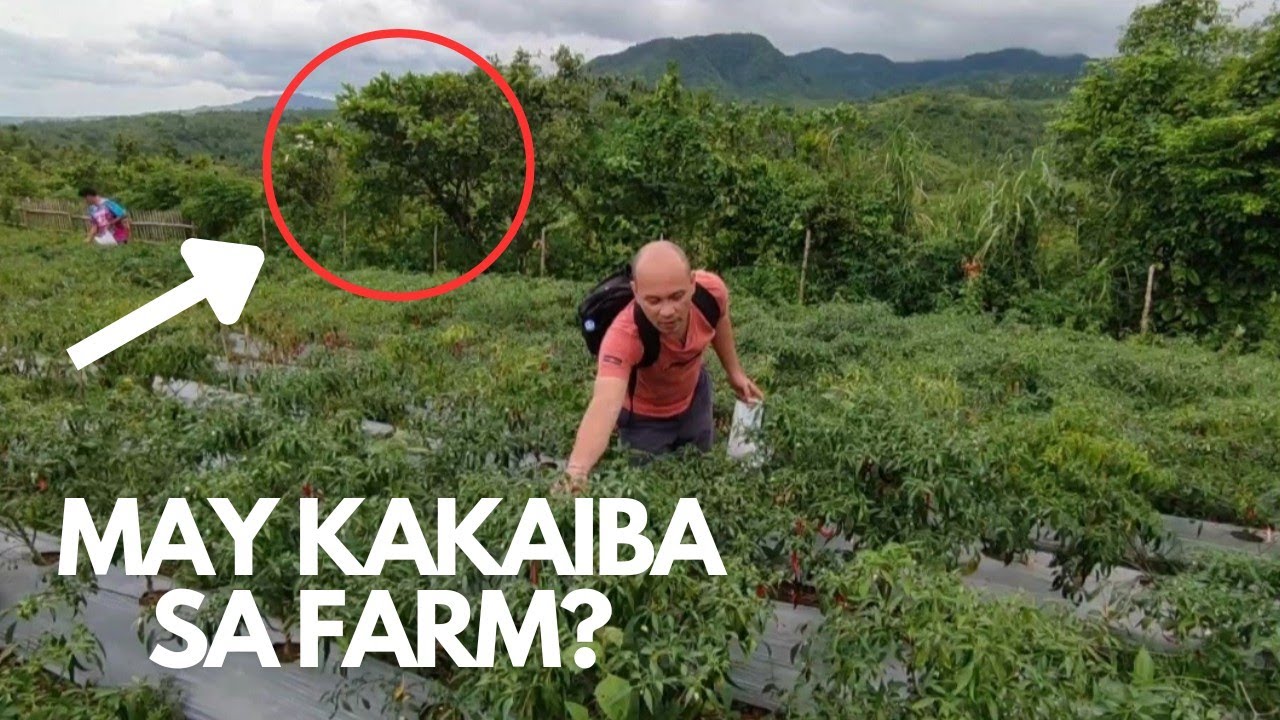 MAY KAKAIBA SA FARM? | eXtrangHERO TV - YouTube