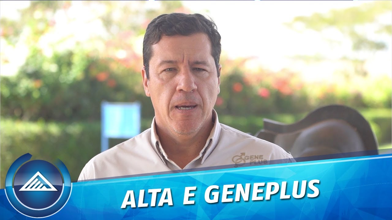 Alta e Geneplus - YouTube