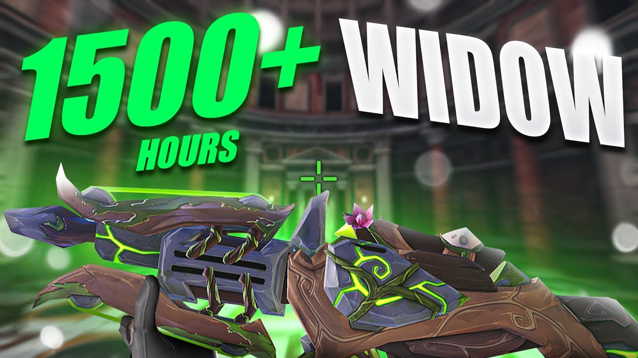 This is what a 1500+ hours Widowmaker trying the NERF looks like in Overwatch - YouTube